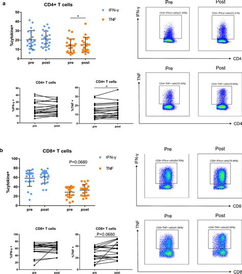Function Of T Cells Intracellular Cytokine Ifn γ And Tnf Production