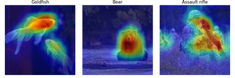 Scorecam — Tf Keras Vis V0 8 6 Documentation