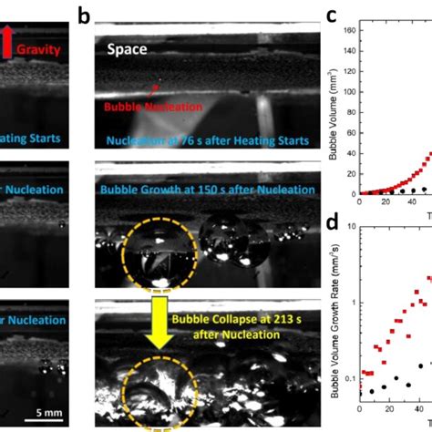 The Snapshots Showing The Moments Of Surface Bubble Nucleation Upper Download Scientific