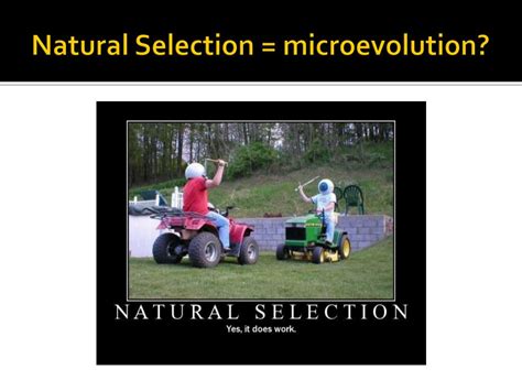 Ppt Evolution Basics Powerpoint Presentation Free Download Id2039967