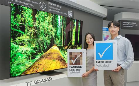 삼성 Qd Oled 디스플레이 최초로 팬톤 인증 받았다