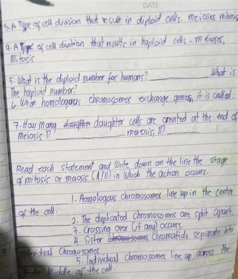 3 A Type Of Cell Division That Result In Studyx