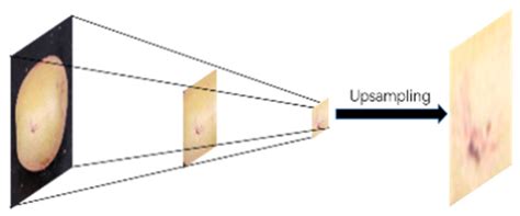 Electronics Free Full Text A Real Time Detection Algorithm For