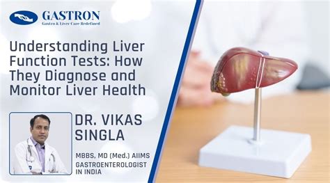 Liver Function Tests How They Diagnose And Monitor Liver Health