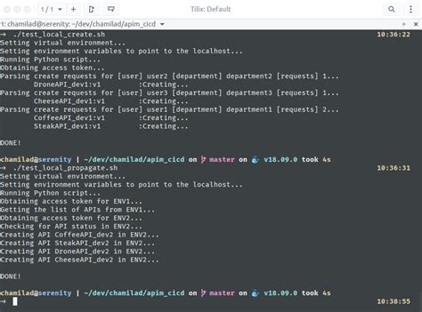 ci cd apis with wso2 api manager how to do continuous integration and… by chamila de alwis