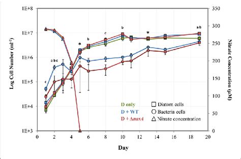 log number of bacteria and diatom cells left vertical axis