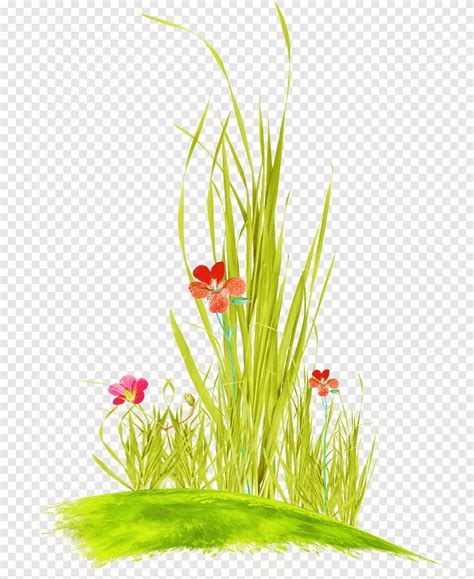 래스터 그래픽 드로잉 여름 기타 사진 Png Pngegg