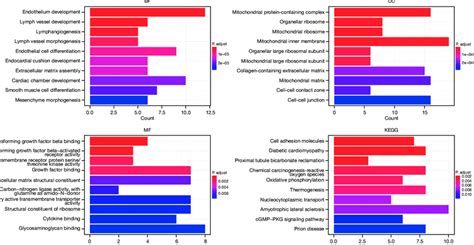 Bar Graph For Go And Kegg Pathway Analyses Of Hub Genes The Top 10 Download Scientific Diagram