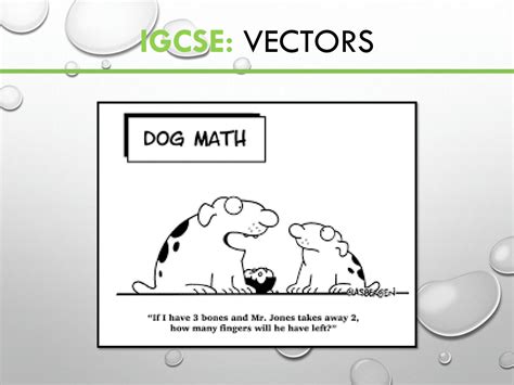 SOLUTION Igcse Vectors Studypool
