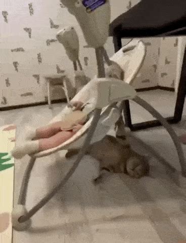 GIF为这个家我付出太多了