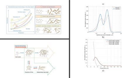 Monitoring And Digital Design Of The Cooling Crystallization Of A… Polymodels Hub