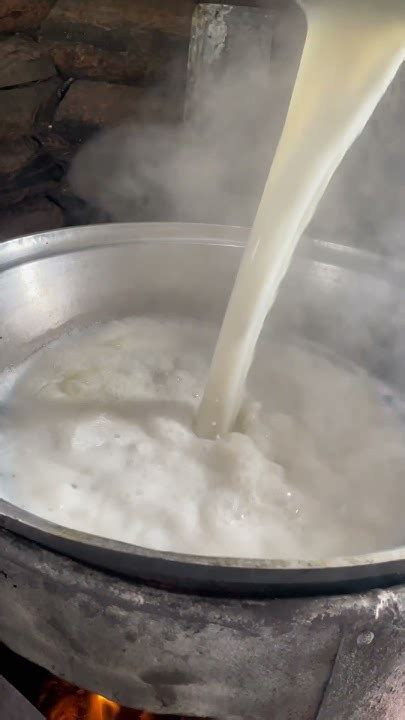 Сүүтэй цай🫖🇲🇳 Youtube