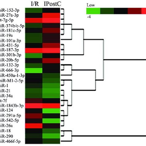 Heat Map And Hierarchical Clustering Dendrogram Of Significant De