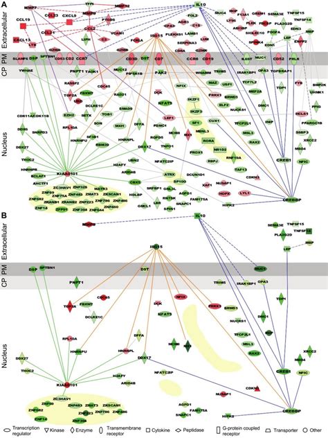 Expression Pattern And Functional Pathway Analysis A Ingenuity Pathways