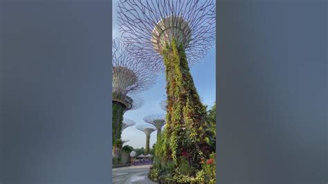 „ბაღები ყურესთან“ სინგაპური Youtube