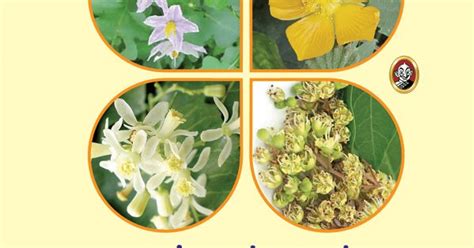 மருத்துவக்குணம் நிறைந்த மலர்கள் Vikatanphotocards Vikatan