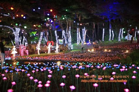 충북 가볼만한곳 단양 야경 명소 수양개빛터널 밤 데이트 야간 드라이브 네이버 블로그