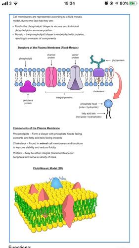 Bio Module 2️⃣ Flashcards Quizlet
