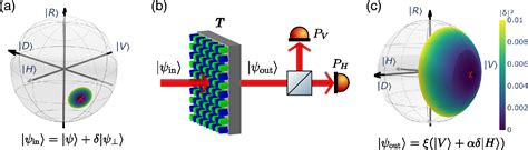 Real Time Monitoring Of Polarization State Deviations With Dielectric