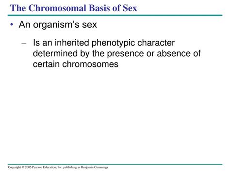 PPT Ch 12 Chromosomal Basis Of Inheritance PowerPoint Presentation Free Download ID 4734866