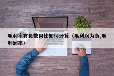 毛利率有负数同比如何计算（毛利润为负毛利润率） 在线同比公式计算器
