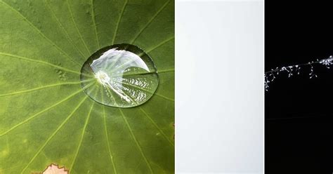 List Data Curated By Sergioealba Medium