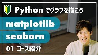 Pythonでグラフ化可視化のレッスンの開始Matplotlib Seaborn 入門コース