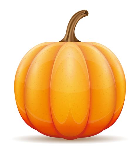 Pumpkin Vector Illustration 509743 Vector Art At Vecteezy