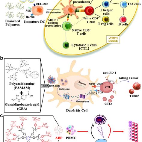 A Schematic Diagram Of The Pathway Of Gene Delivery By Complex In Download Scientific Diagram