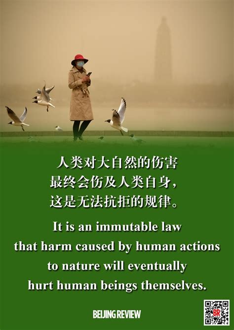 Xis Focus Xi Jinping On Building A Community Of Life For Man And