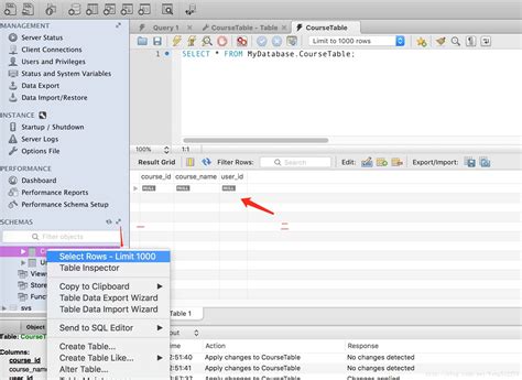 Mac Mysql数据库mysqlworkbench的基本使用以及常见报错mysql Workbench Mac Os 12 Csdn博客