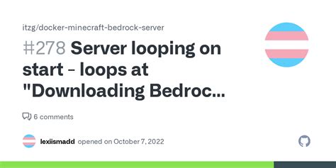 Server Looping On Start Loops At Downloading Bedrock Server Version 1193101 · Issue 278
