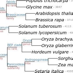 ETE Toolkit Analysis And Visualization Of Phylogenetic Trees