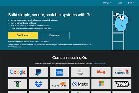 What Is Golang A Beginners Guide For Beginners