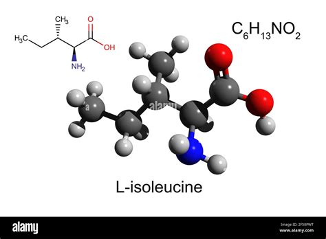 Isoleucine Molecular Cut Out Stock Images And Pictures Alamy