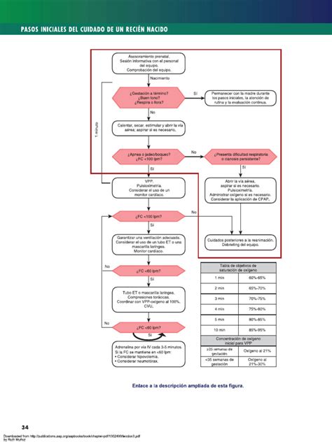 Algoritmo Reanimación Neonatal Pdf