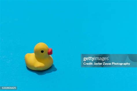 Rubber Duck Background Photos And Premium High Res Pictures Getty Images