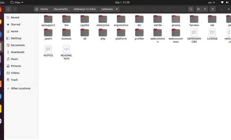 how to install netbeans ide on ubuntu 20 04 imaginelinux