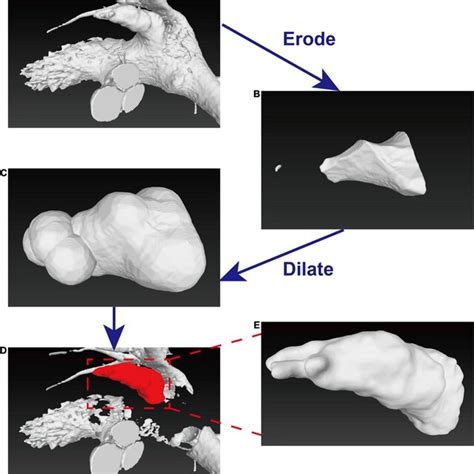 Diagram Of Erosion Dilation Image Processing Ac Process Of Download Scientific Diagram