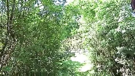 Ways To Use Vibrator Vibrator In Public Porn Fe Xhamster Xhamster