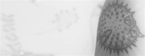 How I Fell In Love With The Openbsd Operating System