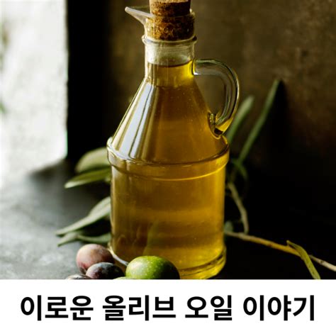 건강에 좋은 올리브유 종류가 많아도 너무 많다 어떤 올리브 오일을 골라야 할까