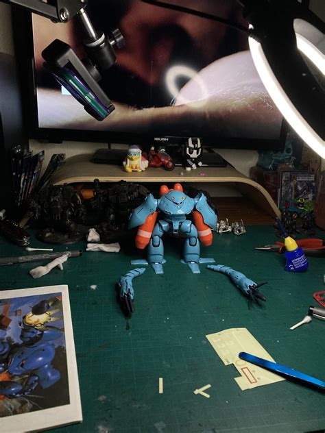 Finished Hygogg Rgunpla