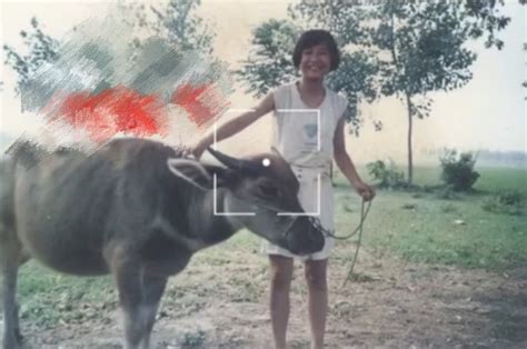 贾玲年少放牛照曝光 网友调侃：伙食越来越好 搜狐大视野 搜狐新闻
