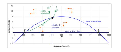 phase plane diagram of the nonlinear optimal consumption problem