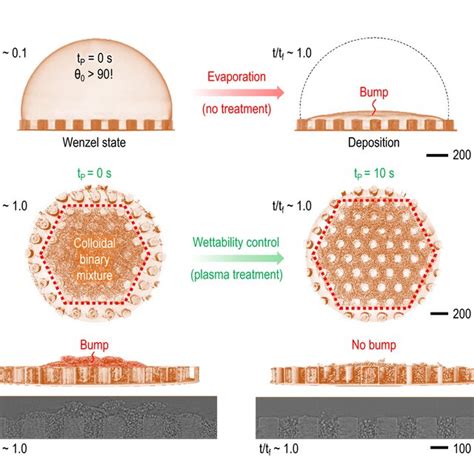 high density deposition of binary colloids a schematic illustration