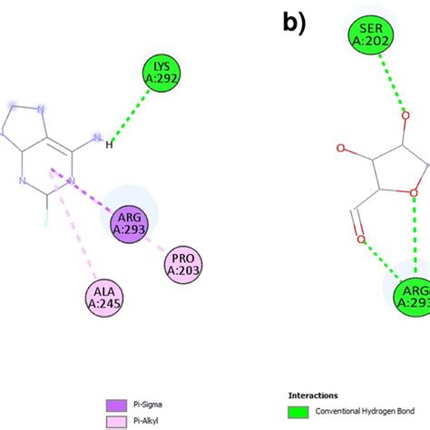 I4l Ribonucleotide Reductase Large Subunit R1 Interactions With A Download Scientific Diagram