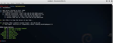 Exploitation Using Shell