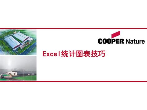 Excel 统计图表技巧 Word文档在线阅读与下载 无忧文档