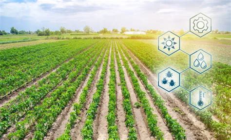 Resource How Does Cea Optimize Resource Utilization